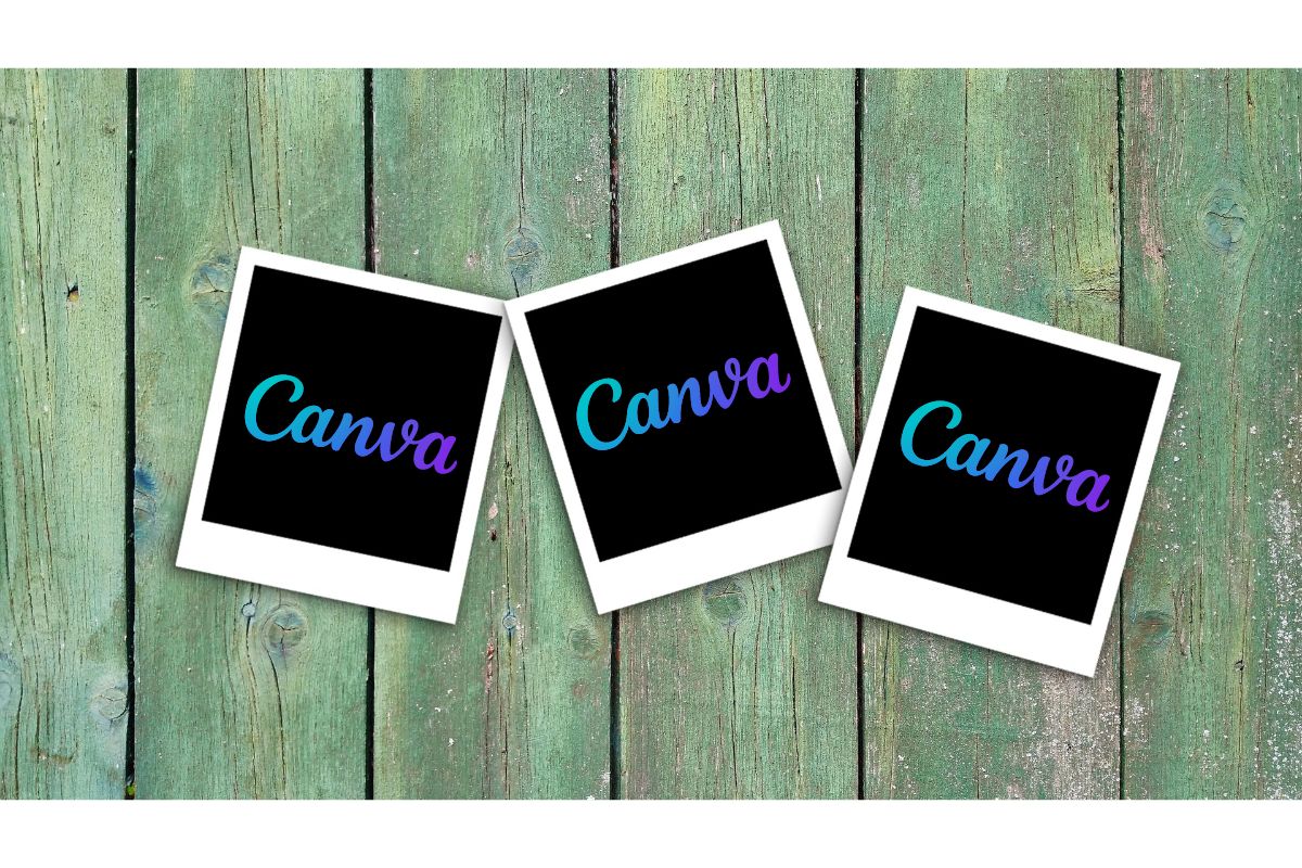 How Much Is Canva Pro Beautiful Type
